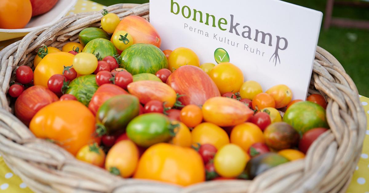 Gutes Klima Festival 2025 | Museum Folkwang