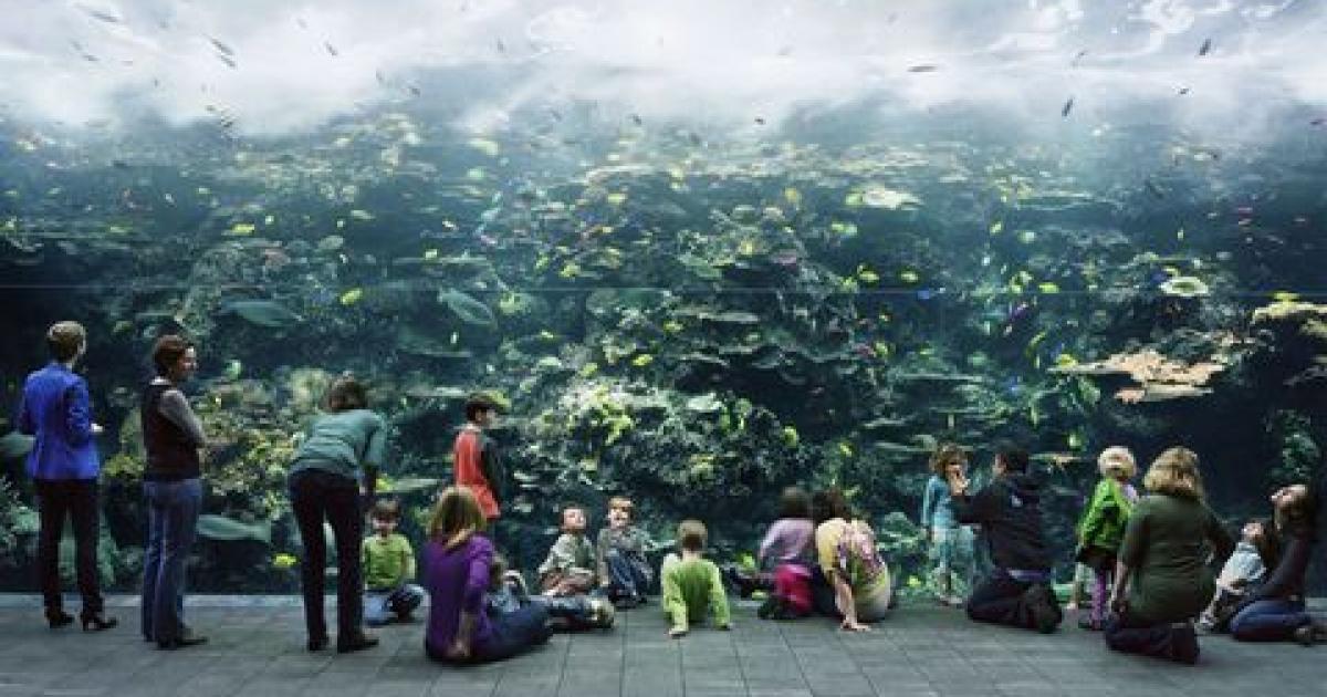 Thomas Struth | Museum Folkwang